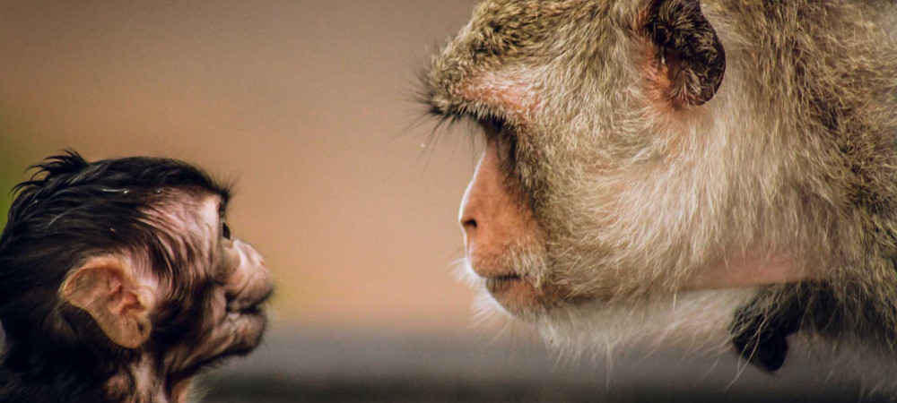 Prudential Travels Ltd – Prudential Travels